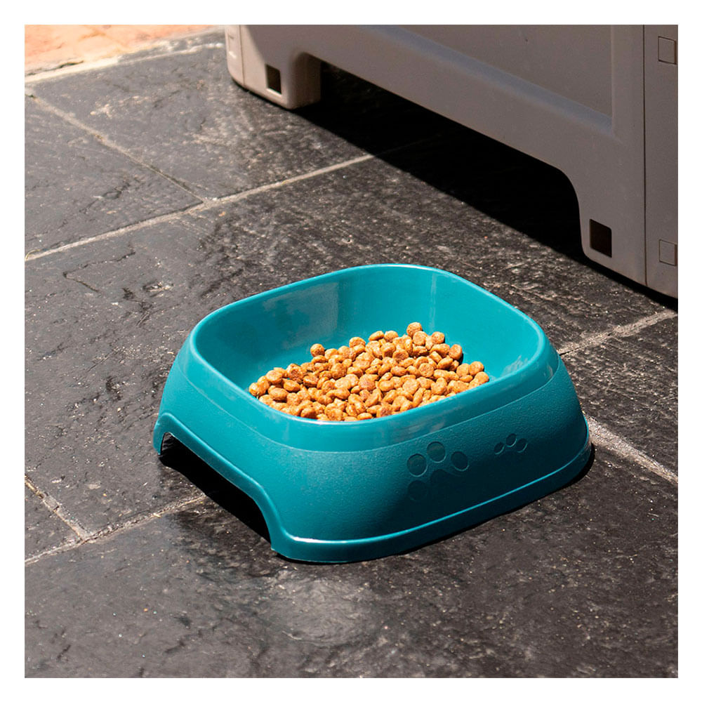 PLATO DE PERRO TURQUESA - Easy Colombia