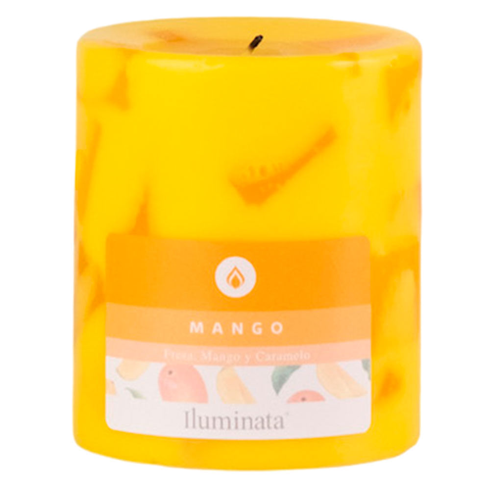 VELA PILAR ILUMINATA MANGO 330GR - Easy Colombia