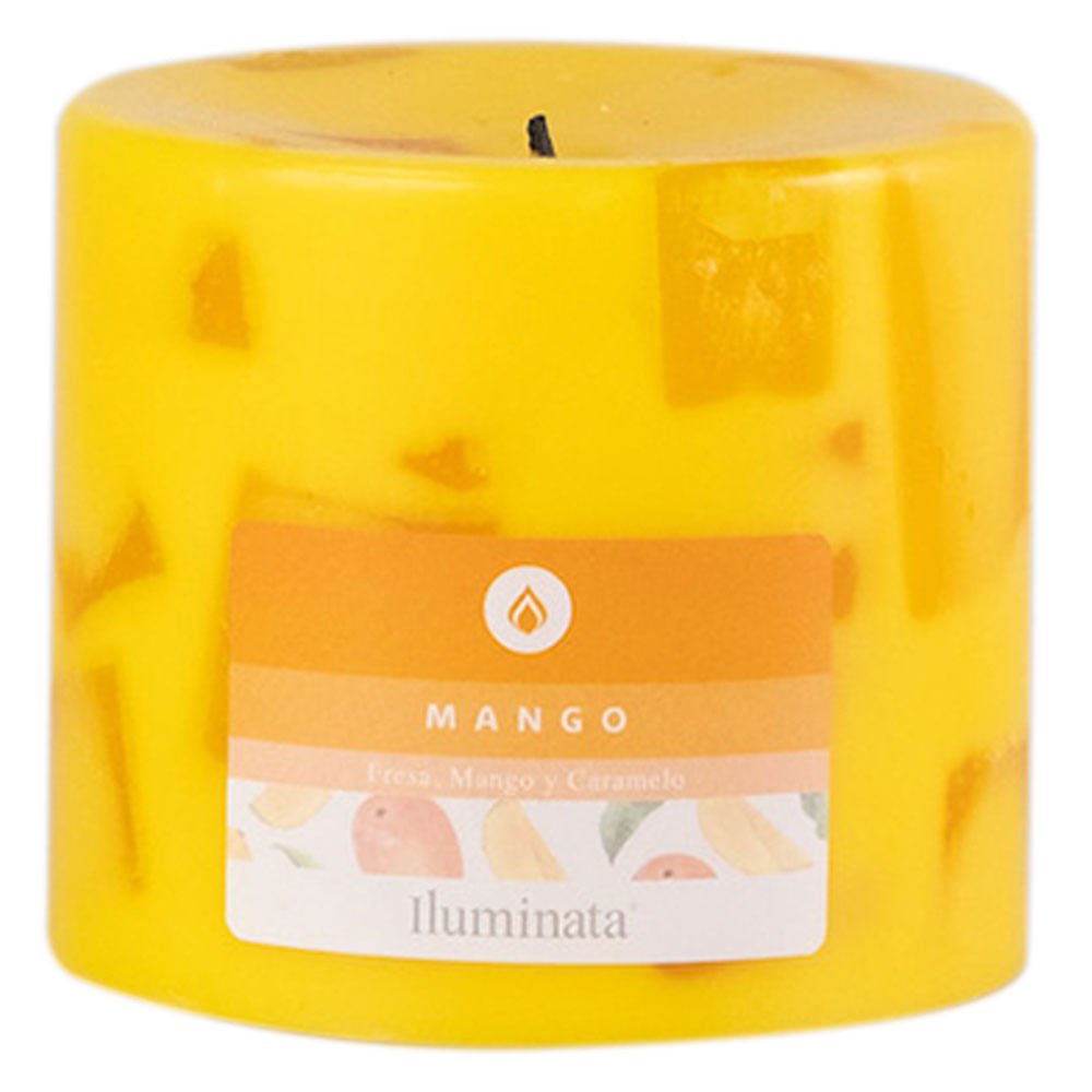 VELA PILAR ILUMINATA MANGO 520GR - Easy Colombia